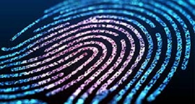 How to set up your Director ID - Femia Accountants